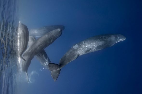 Jake Simmance - Bristol Old Vic Theatre School