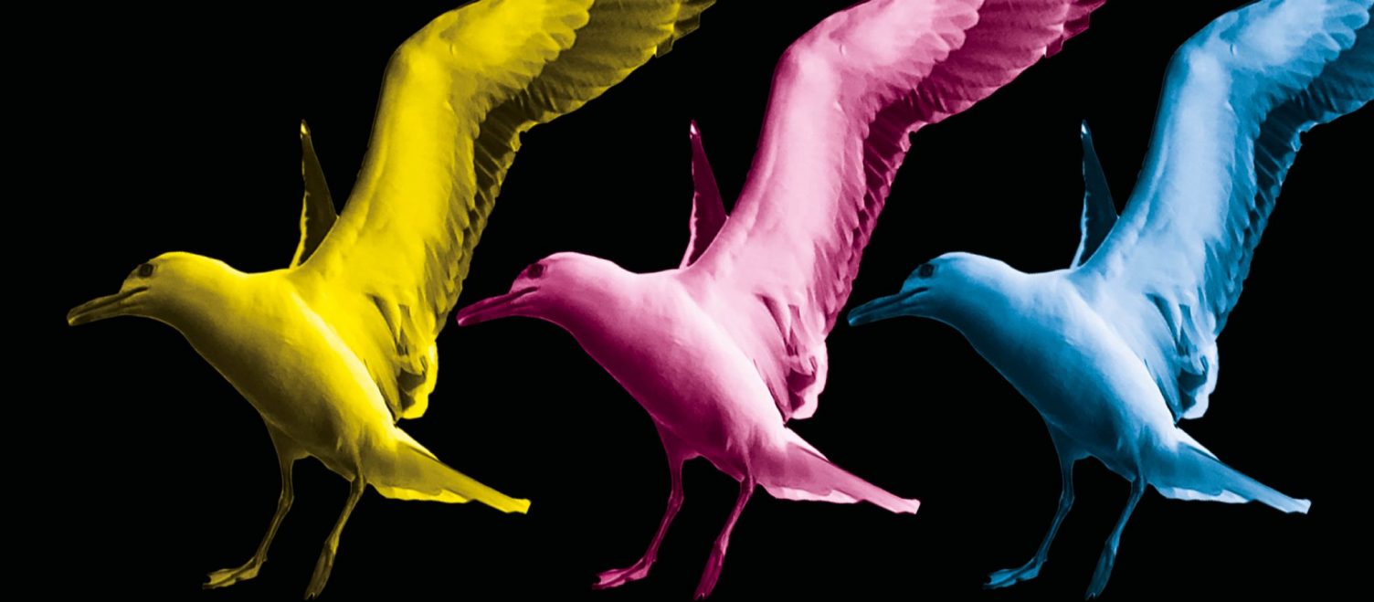 James Jip - Bristol Old Vic Theatre School